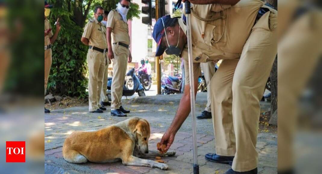 Even animals may resort to physical distancing to prevent microbes ...