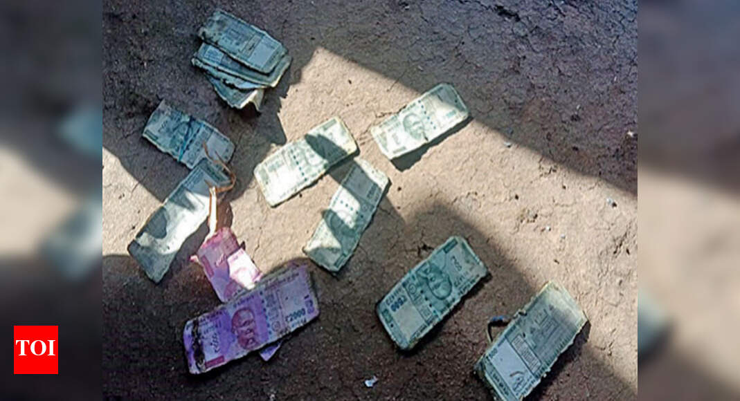 Madhya Pradesh: Burnt currency notes found in Khandwa pond trigger ...