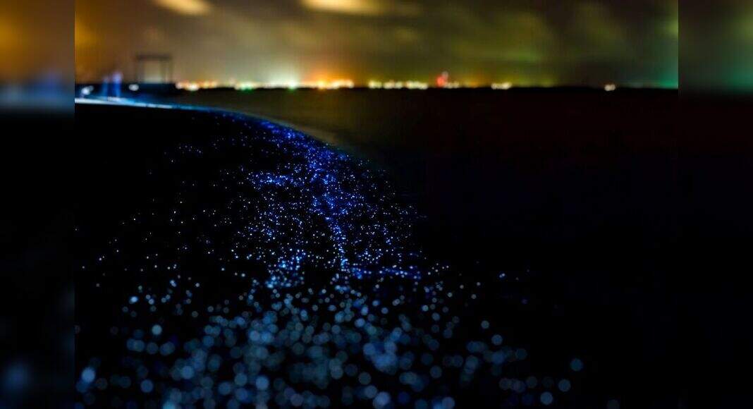 This Mexican beach lit up blue for the first time in 60 years, know why ...