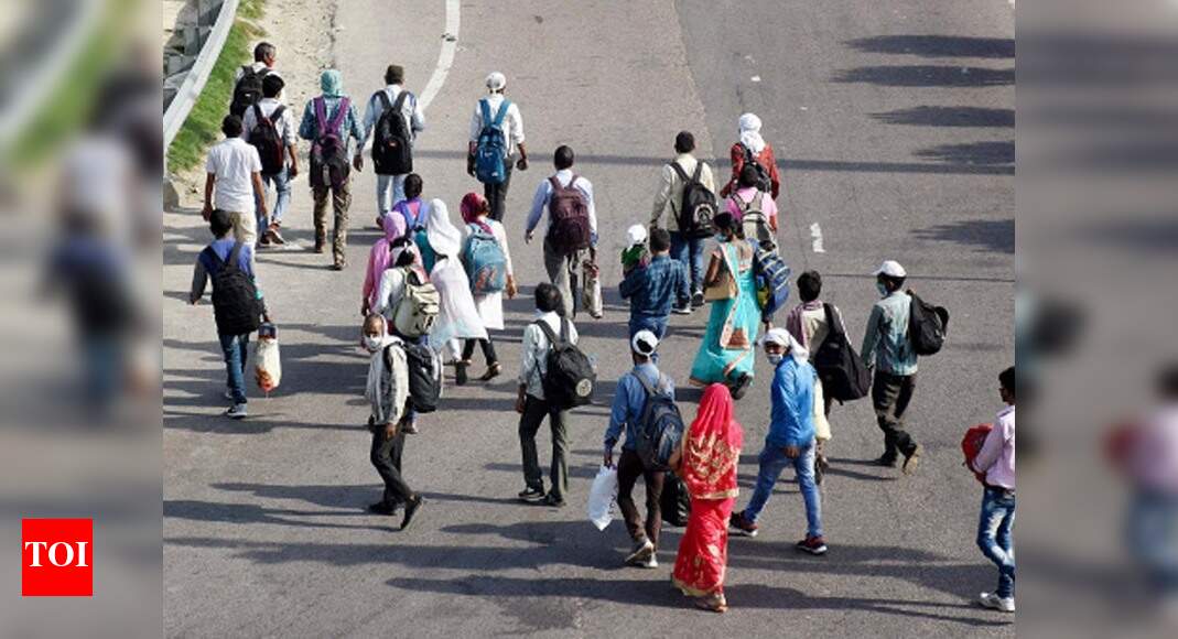 Reverse migration to hit UP’s demographic profile | Lucknow News ...