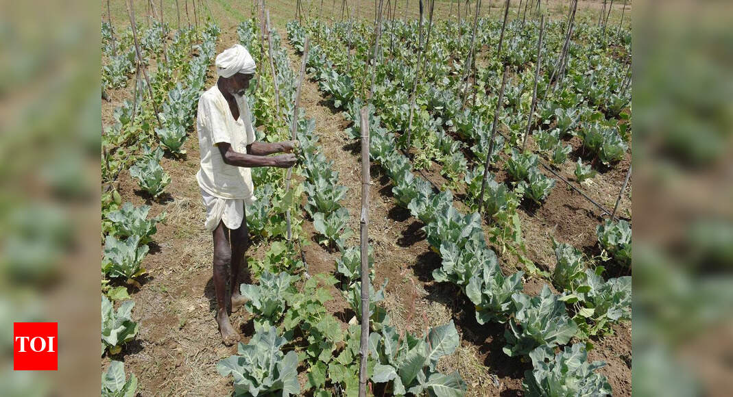 Goa: Now, government gives farmers better access to market, offers e ...