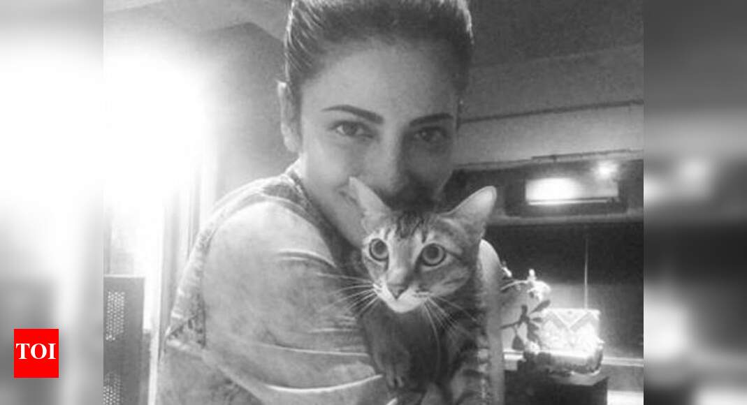 I am a proud crazy cat lady, says Shruti Haasan | Tamil Movie News ...