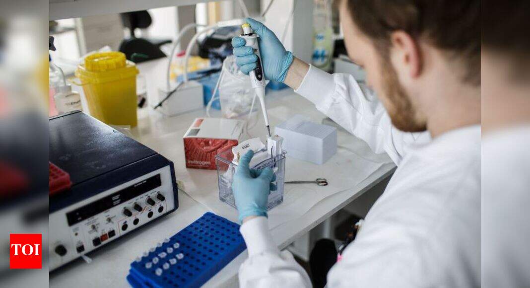 'Why Rhesus monkeys are used for most vaccine trials' | India News ...