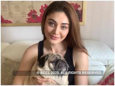 Shefali Jariwala takes online therapy for her pooch - Times of India