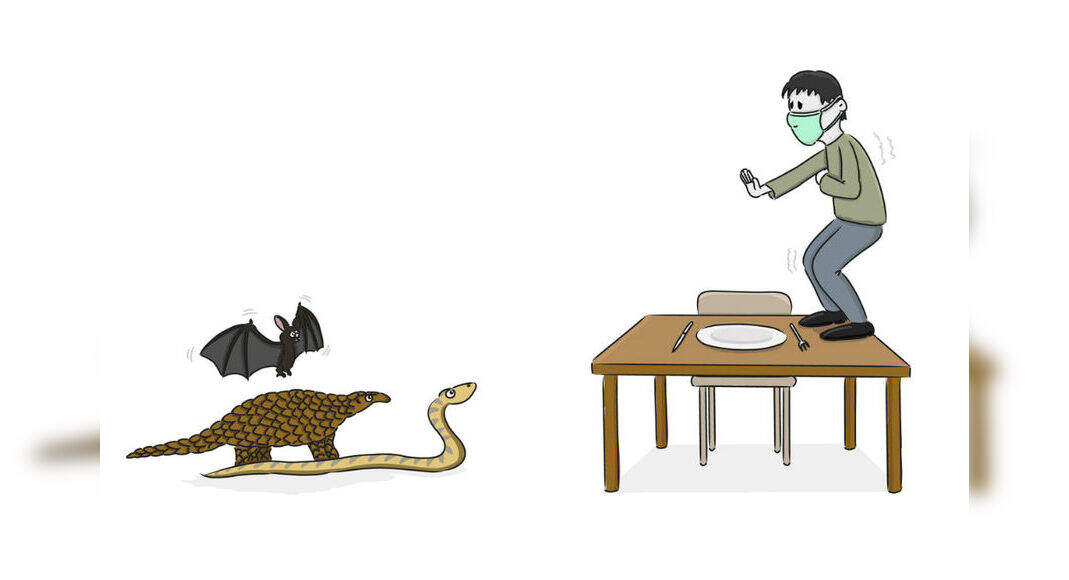 Wuhan finally bans eating and hunting of wild animals in the wake of ...