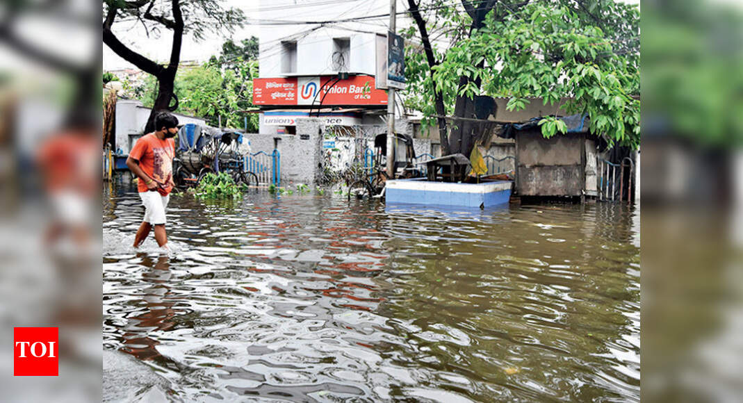 Kolkata: Electrocuted bodies float up in waterlogged streets | Kolkata ...