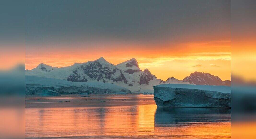Antarctica is turning green. Know why | TimesTravel