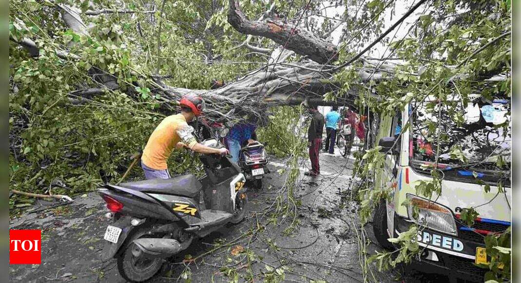 Breaking News Live: Army deployed in cyclone-ravaged Kolkata - The ...