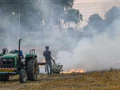 Paddy straw burning cases highest in last three years in Punjab ...