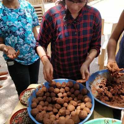 Here is how you can make seed bombs - Times of India