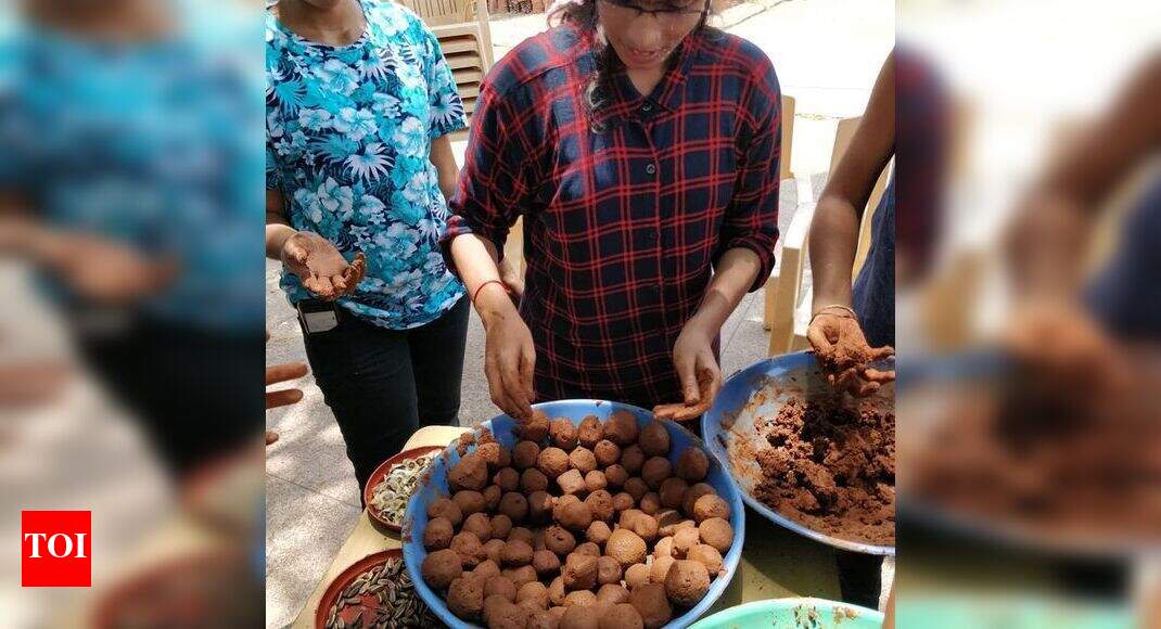 Here is how you can make seed bombs - Times of India