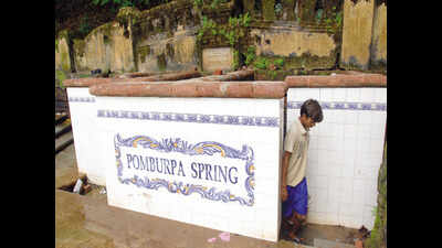 Goa: Famed Pomburpa spring sees spurt of frolickers, locals call for ...