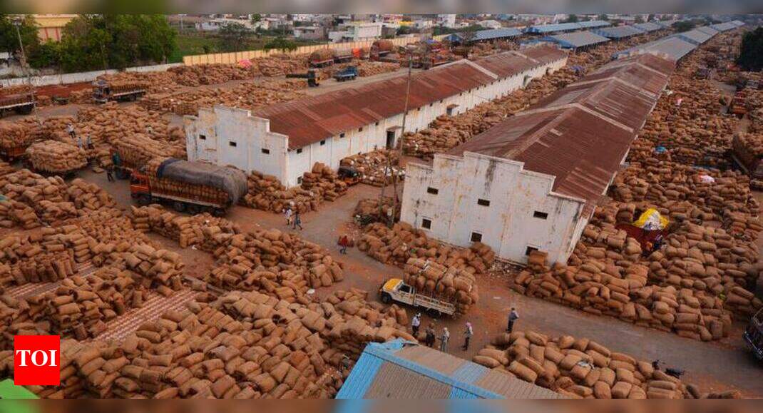 Guntur chilli yard reopens, separate entry and exit points marked ...