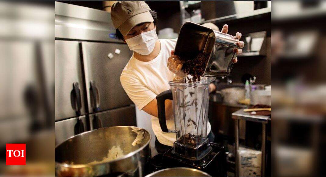 Japan insect enthusiast puts cricket ramen on the menu - Times of India