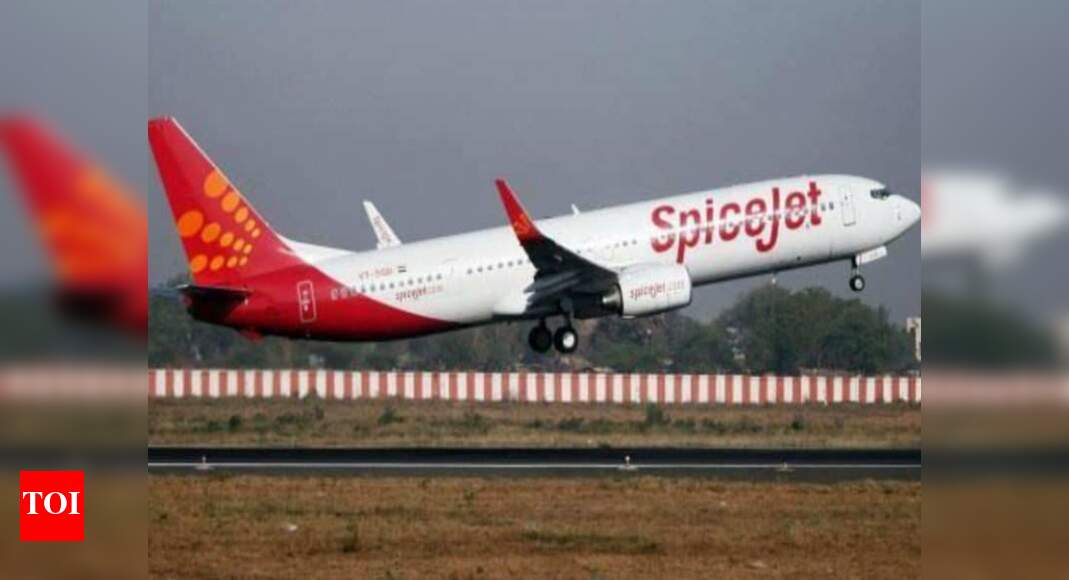Spicejet Cargo Flights: SpiceJet operates cargo flights to Sudan, South ...