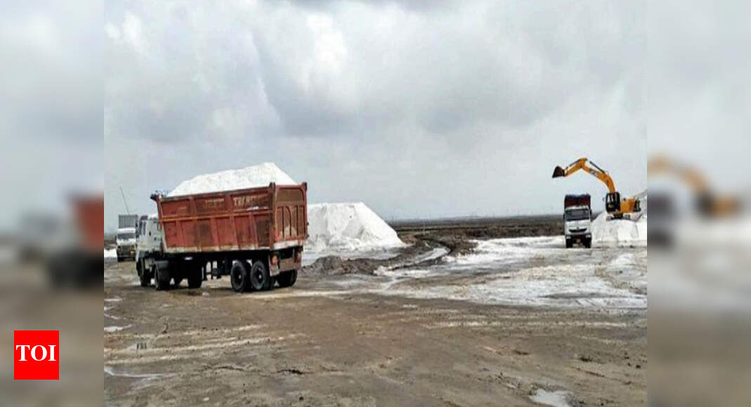 Kutch: Rajasthan migrants return to salt refineries, Kandla port ...