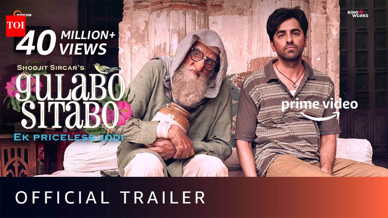 Gulabo Sitabo Movie Review: A well-crafted satire that evokes a riot of ...