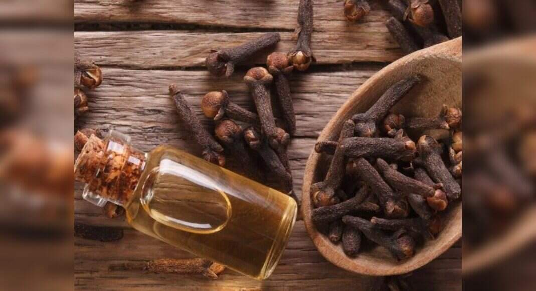 Amazing Skin Benefits Of Clove Or Laung Oil - Misskyra.com