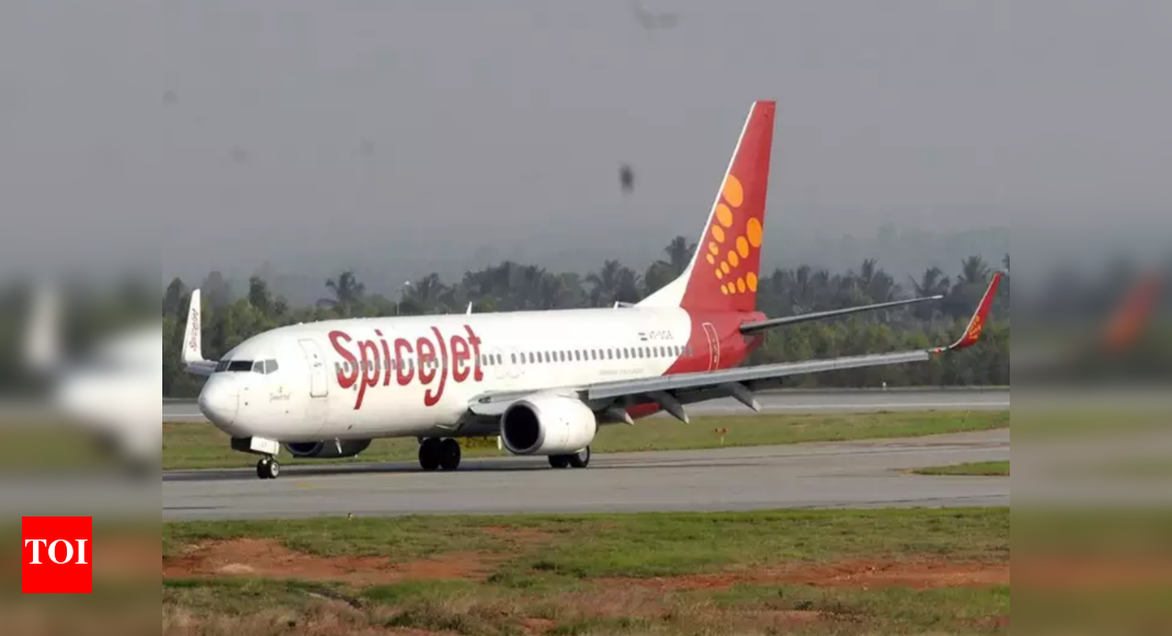 SpiceJet converts three of its flights into freighters - Times of India
