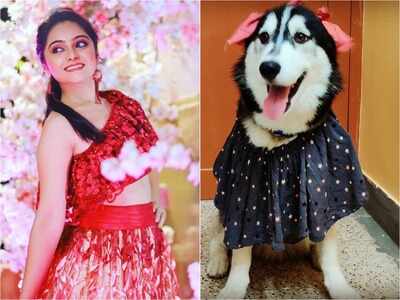 Actress Deepika turns designer for her pet Husky - Times of India