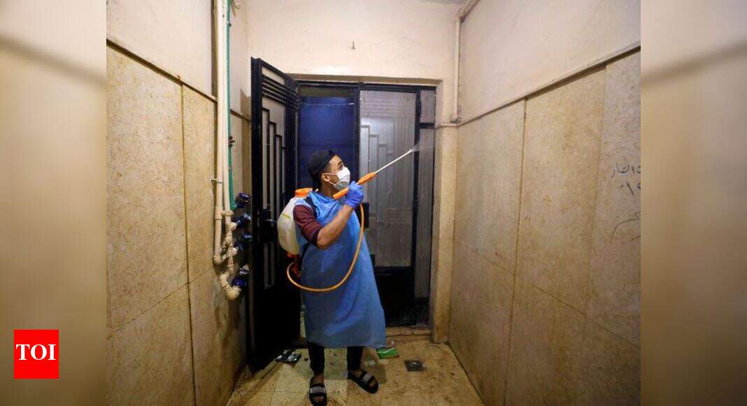 Egypt orders the wearing of face masks in public - Times of India