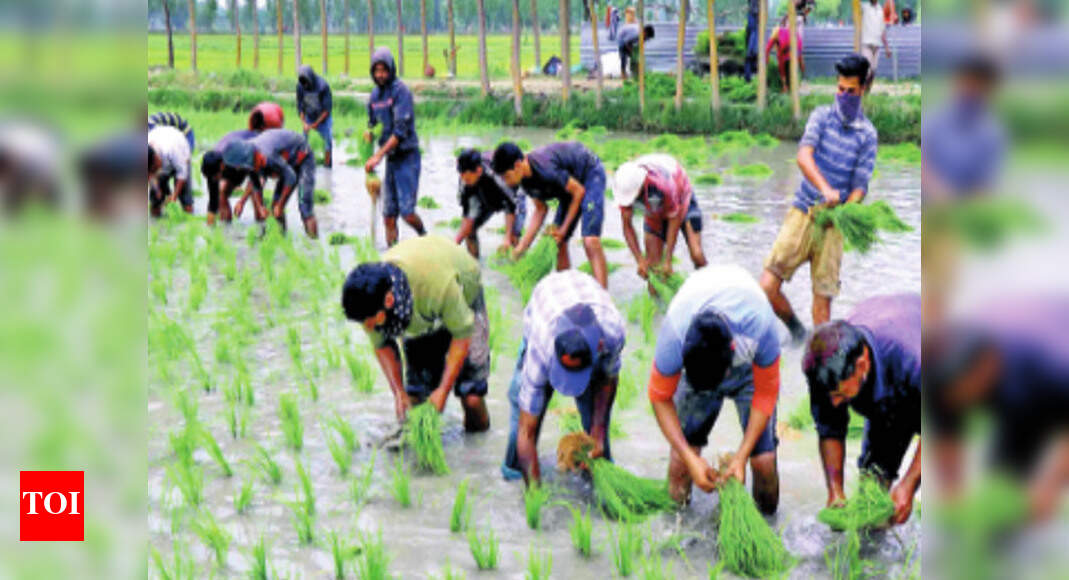 Now, RBKs to look after Andhra Pradesh farmers’ needs | Vijayawada News ...