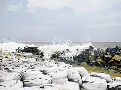 Kerala: Chellanam seawall work lags | Kochi News - Times of India
