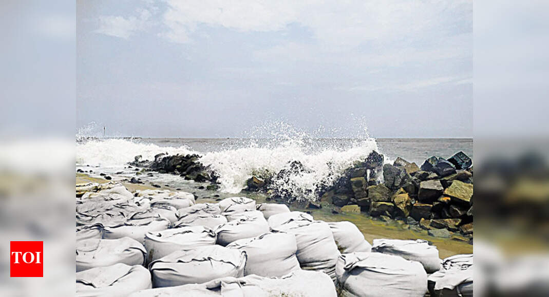 Kerala: Chellanam seawall work lags | Kochi News - Times of India