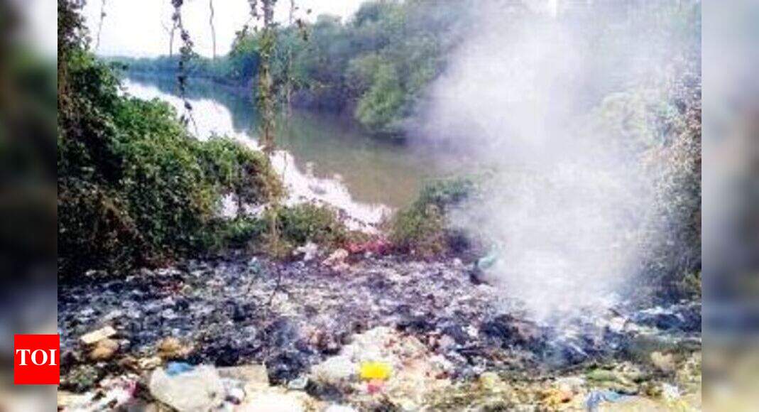 State to Centre: Biodiversity parks not feasible in Goa | Goa News ...