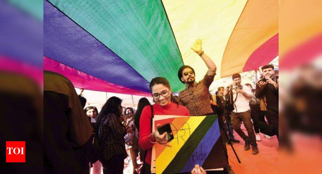 No Pride March in Chennai this year, events to be held online | Chennai ...