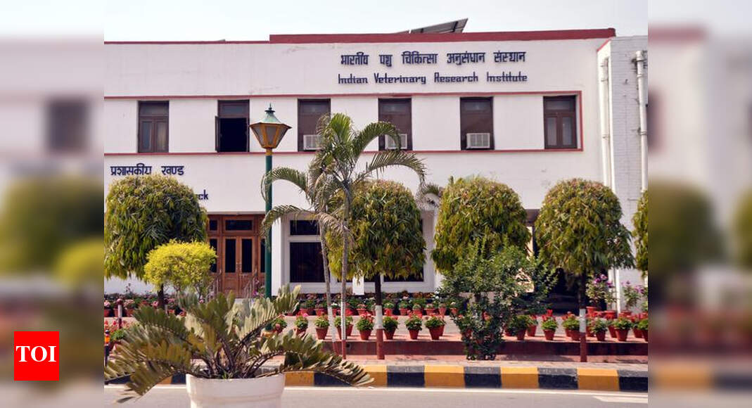 Bareilly: IVRI plans to develop Covid-19 vaccine for pets | Bareilly ...