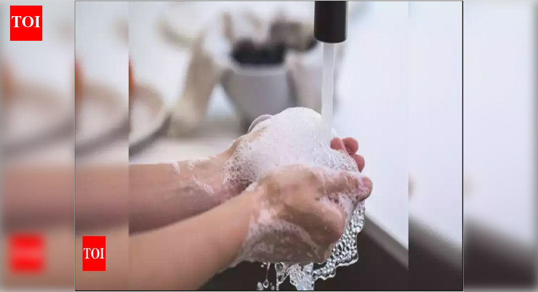 Hand Wash: Trust these hand washes for germ-free hands | - The Times ...