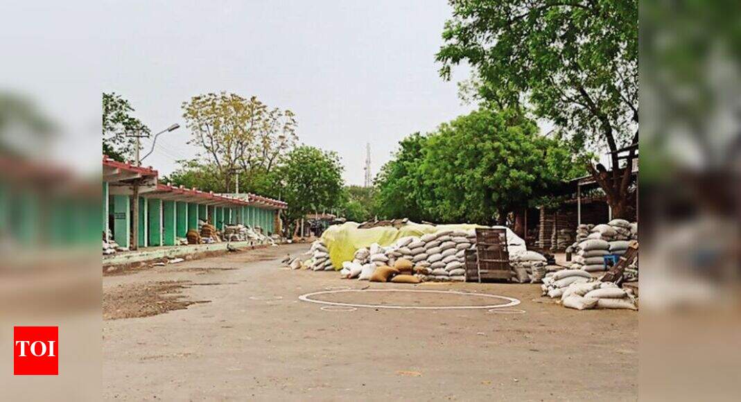 Rajasthan’s agriculture calendar on schedule as sowing begins | Jaipur ...