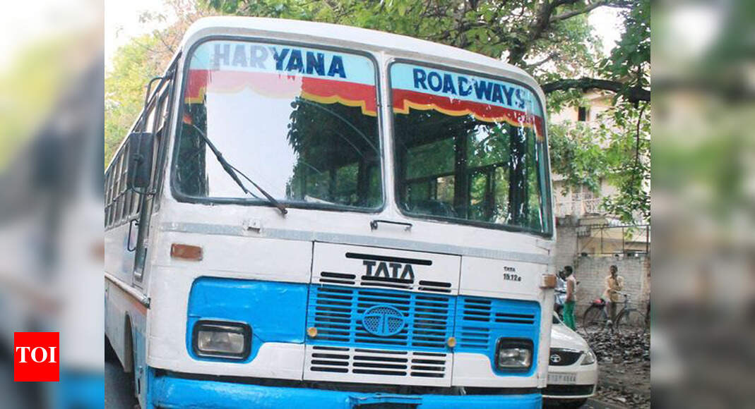 Haryana Roadways: SOP issued for Haryana Roadways interstate bus ...