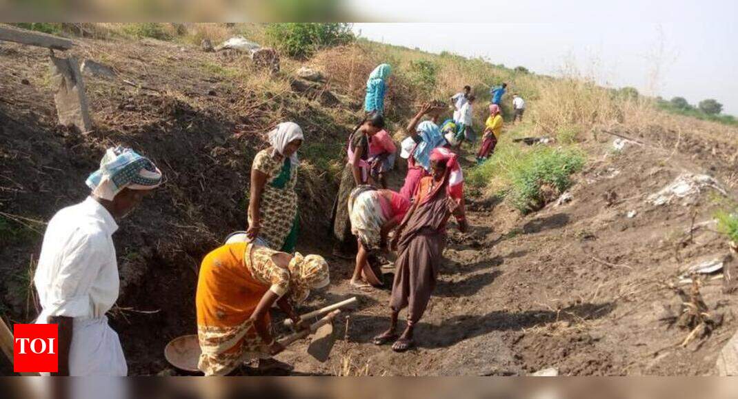 All-Dalit woman collective helps those affected by Covid-19 crisis get ...