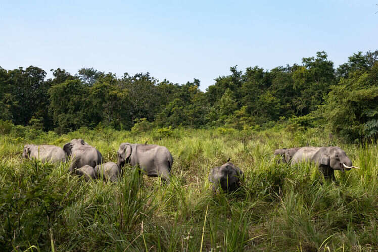 Exploring India’s UNESCO Natural World Heritage Sites on the World ...