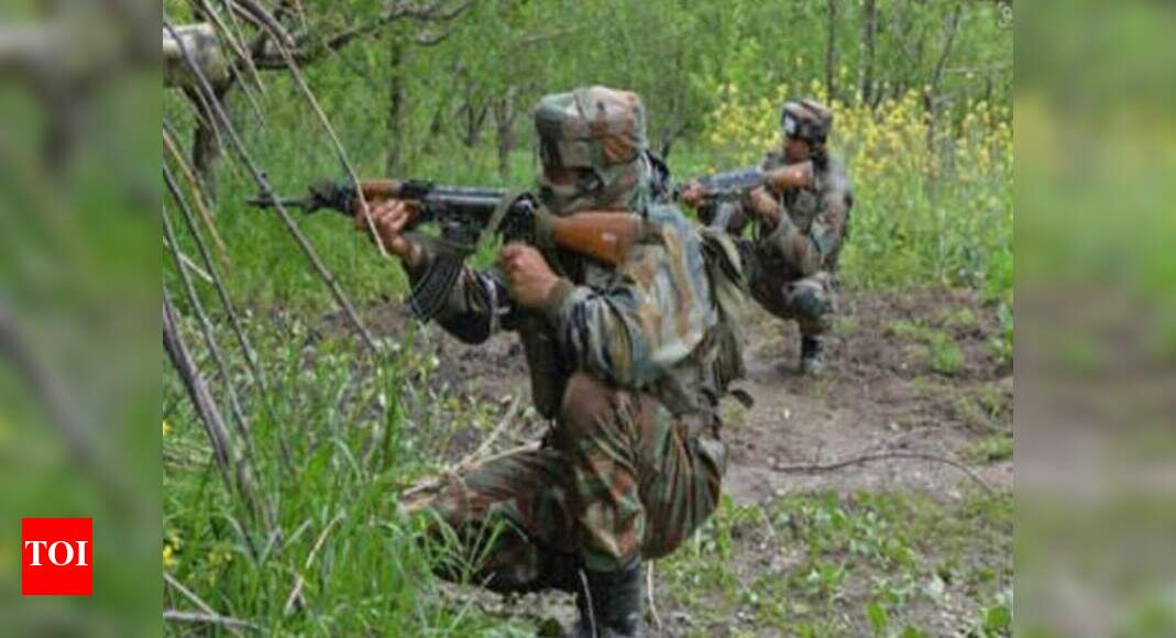 Terrorist killed in encounter with security forces in Jammu and Kashmir's Rajouri | India News ...