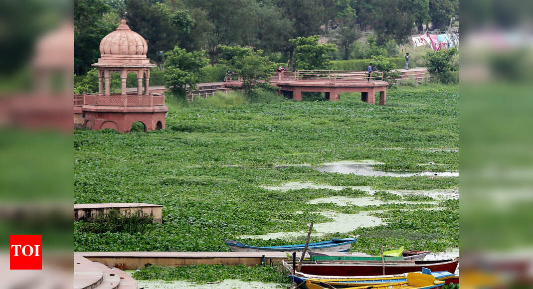 Lucknow: Gomti water only a tad better, sewage still a culprit ...