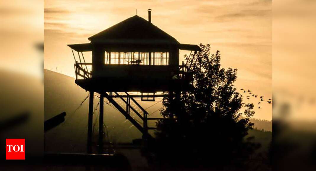 Jharkhand Forest Guard Recruitment 2020: Apply offline for 400 Forest ...