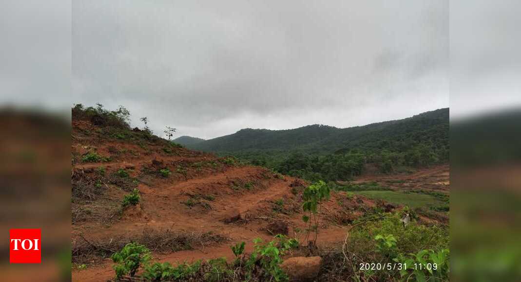 Conservationists concerned over clearances for infra projects through ...