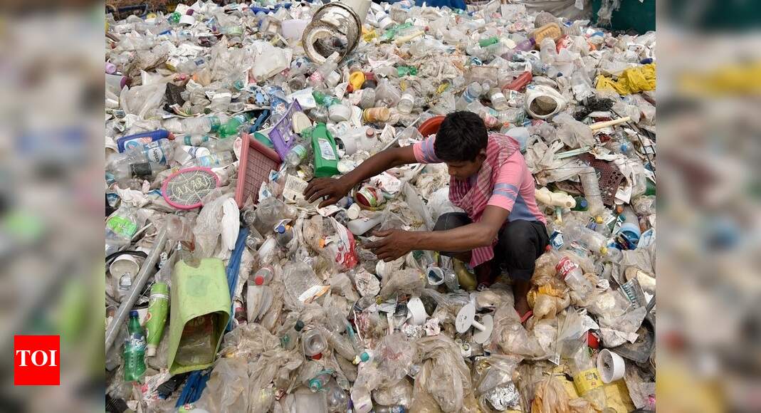 World Environment Day: What makes disasters and how Earth will heal ...