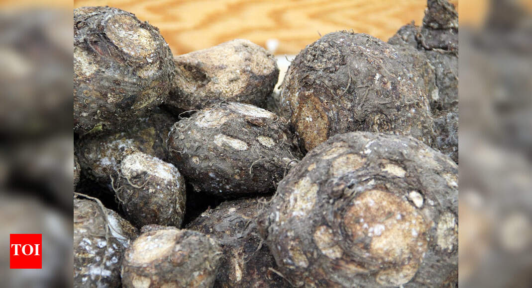 Suran or Jimikand: Secret benefits of this vegetable and tips to cook ...