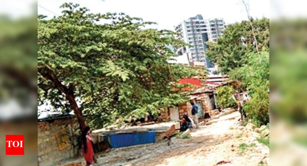 Squatters on Puttenahalli Lake bund and activists at loggerheads ...