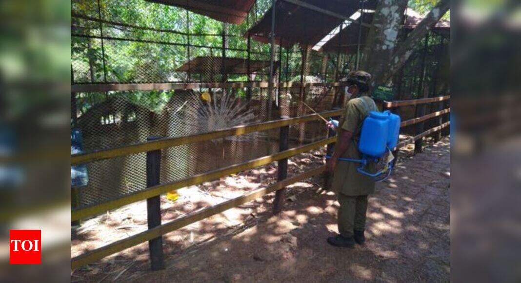 Pilikula Biological Park all set to welcome visitors | Mangaluru News ...