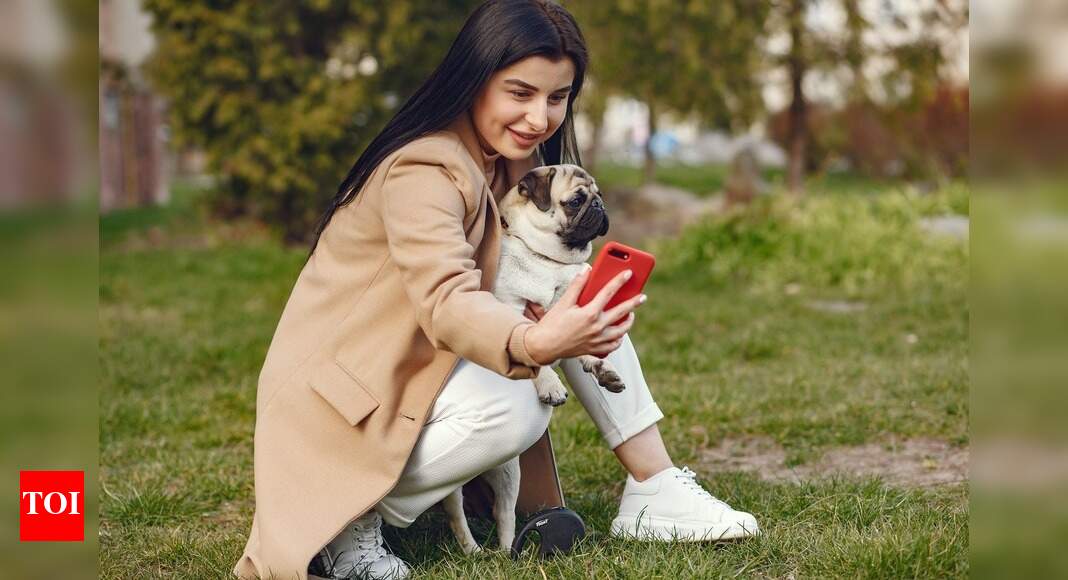 Smartphones with 8MP front camera for improved selfie quality - Times ...