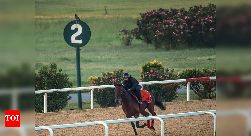 20-year ban for equestrian rider in horse abuse case | More sports News ...