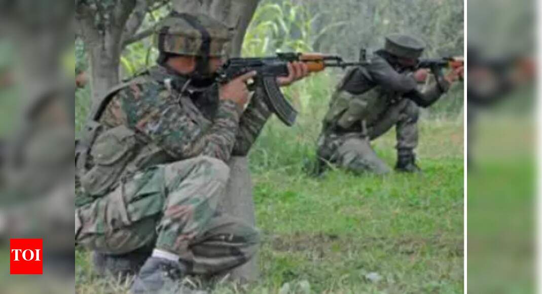 22 terrorists, including 8 top commanders, killed in J&K in last 15 ...