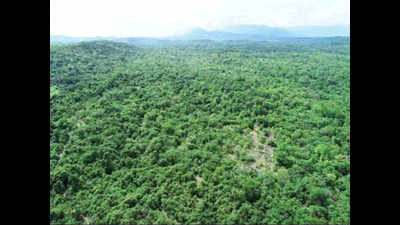 Goa: Melauli locals oppose govt’s IIT project, say it will harm rich ...