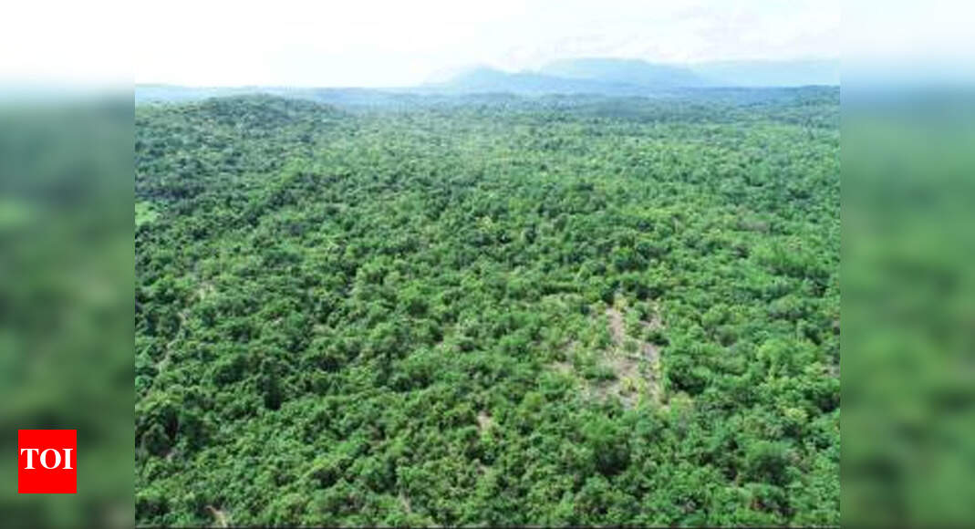 Goa: Melauli locals oppose govt’s IIT project, say it will harm rich ...