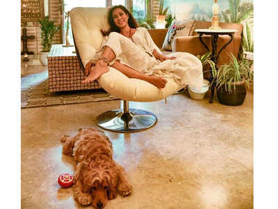 After 20 years, fashion designer Malini Ramani decides to wind up ...